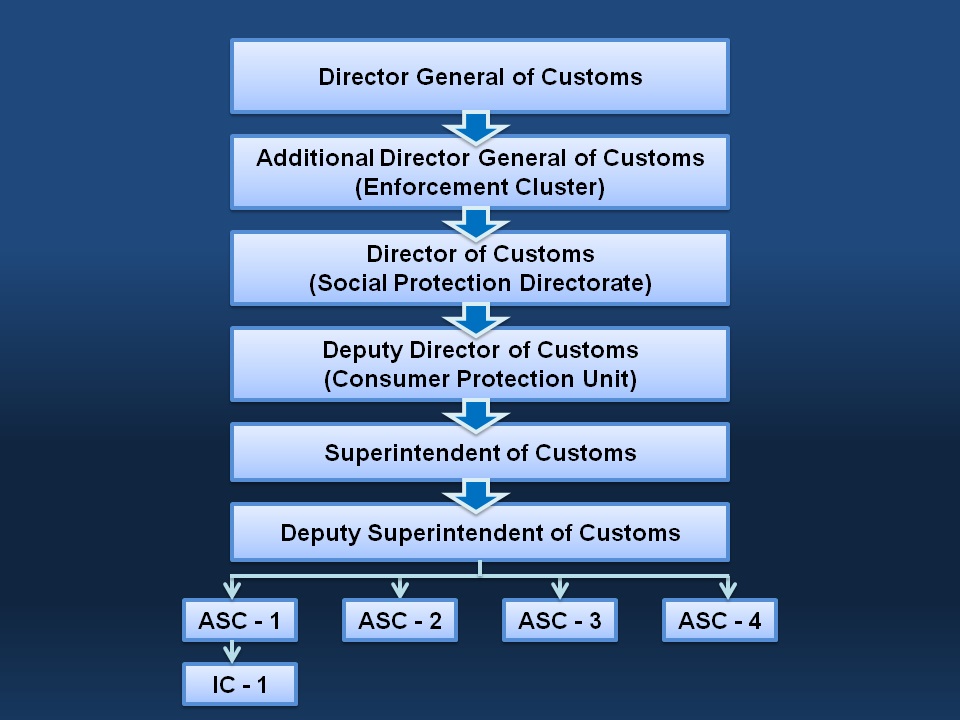 2 – Sri Lanka Customs