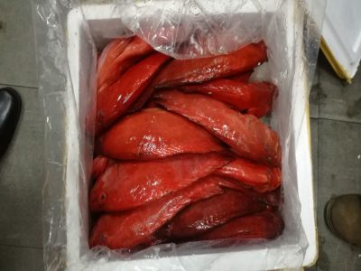 60 Kg of Tomato Hind fish seized while attempted to export to UK – Sri ...