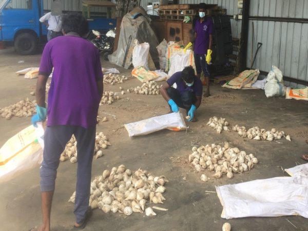 Seizure of prohibited shells (Chanks) – 15.06.2021 – Sri Lanka Customs